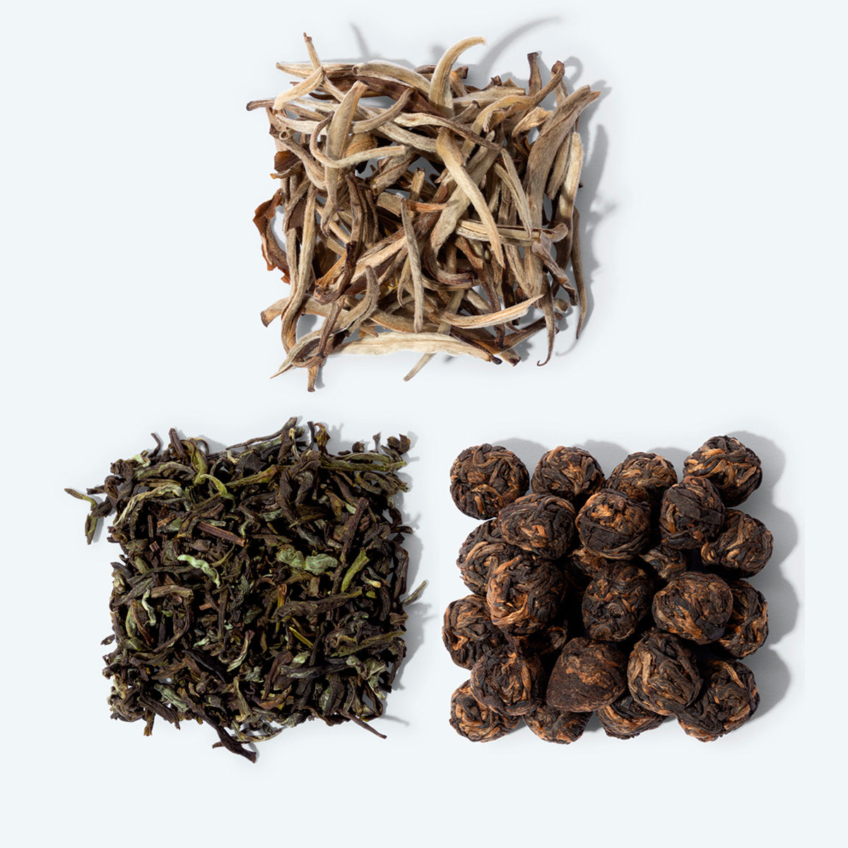 Jasmine Tea Selection – Amsterdam Teas